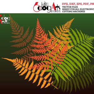 3 Fern Digital Stencil Templates SVG DXF Vector Files Mylar Film ...