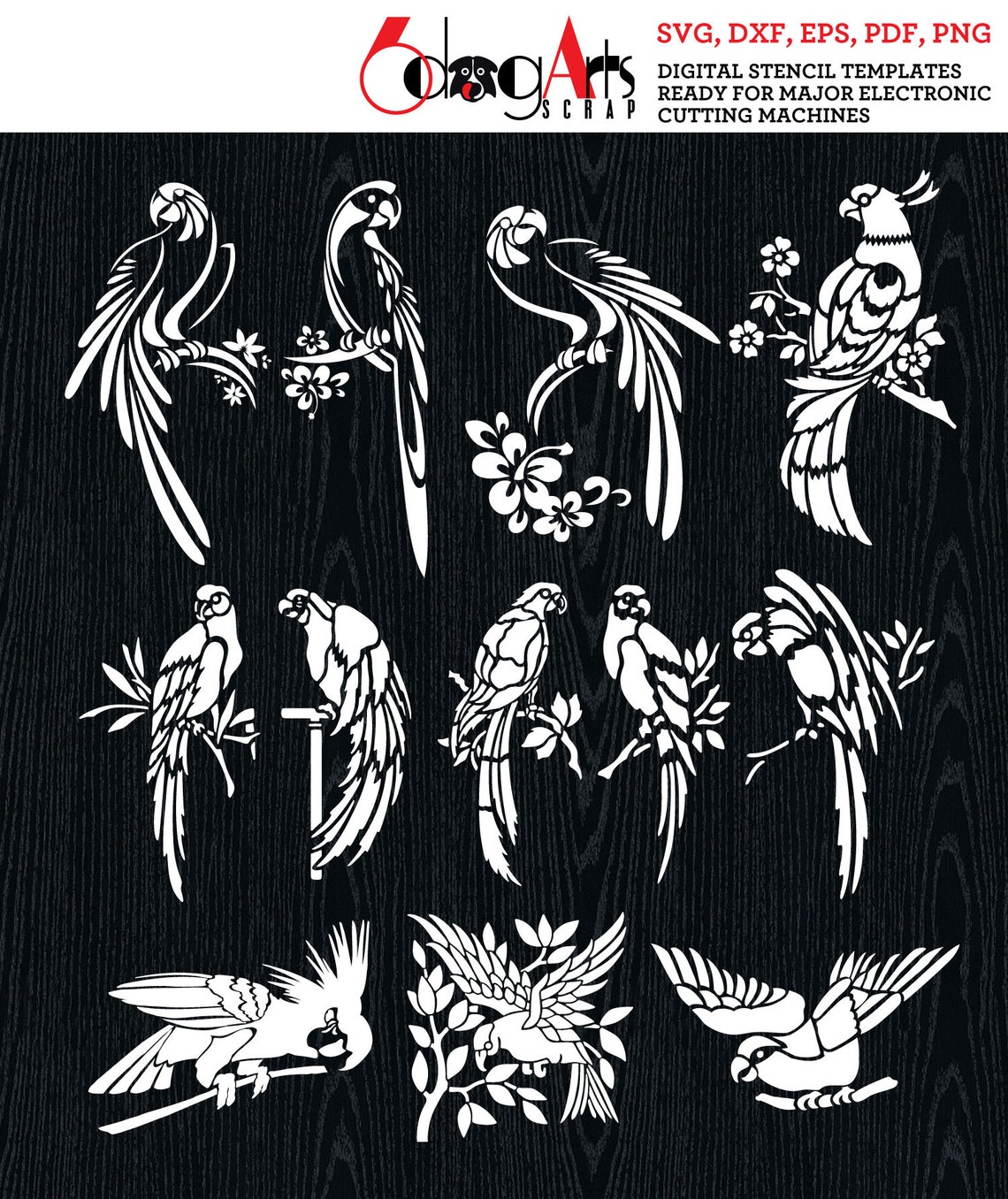 12 Parrot Bird Digital Stencil Templates SVG DXF Vector Files | Etsy