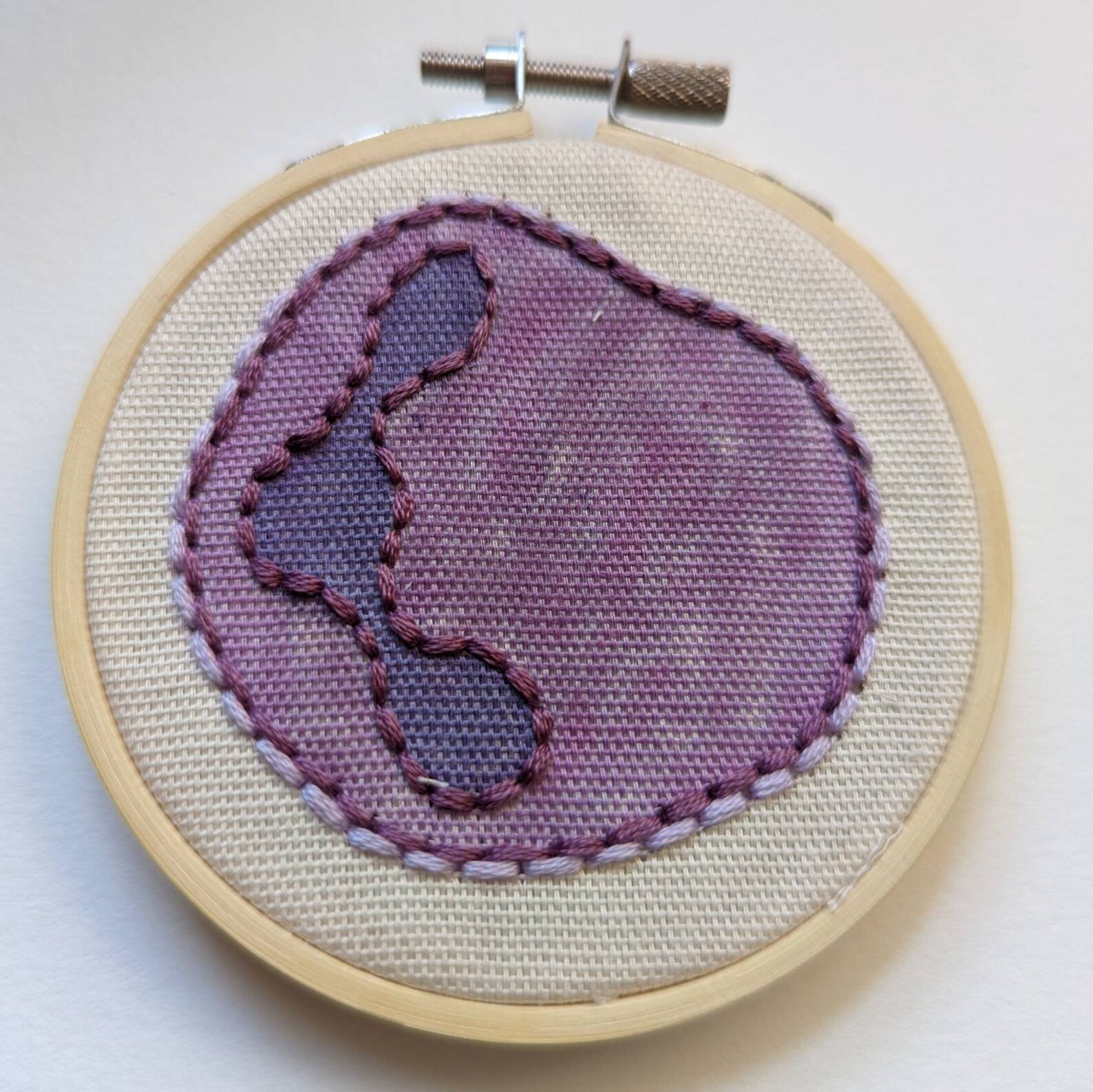 White Blood Cell Embroidery Hoop Set. Great Gift for a Med Student ...