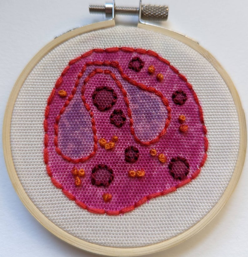 White Blood Cell Embroidery Hoop Set. Great Gift for a Med - Etsy