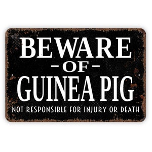 Beware of Guinea Pig Sign Funny Metal Wall Art Indoor or - Etsy