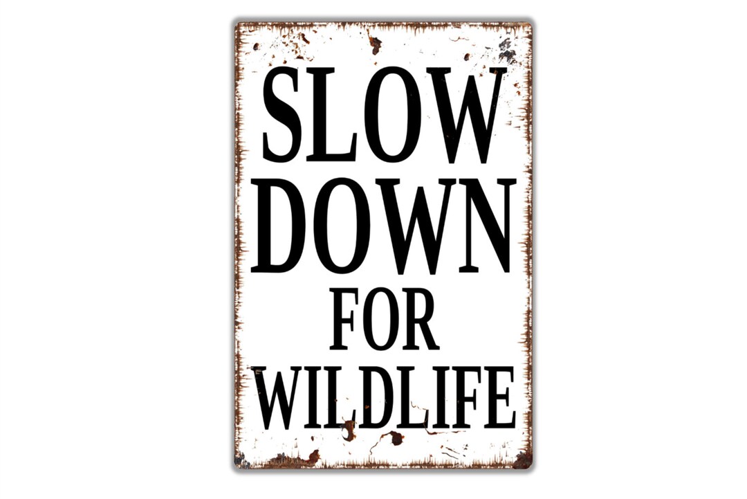 Slow Down for Wildlife Sign Wild Animals Deer Turkey Bear - Etsy