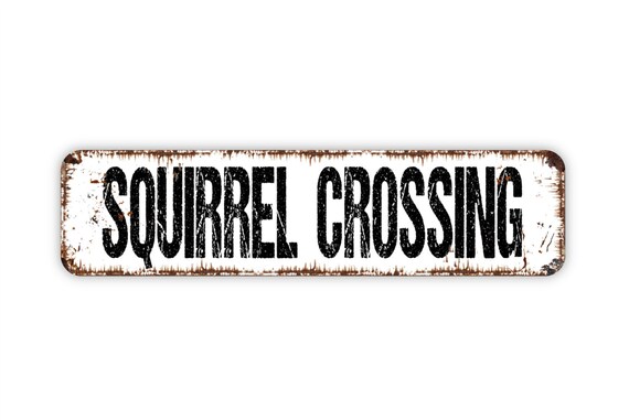 Squirrel Crossing Sign Funny Farm Ranch Metal Sign Farmhouse | Etsy