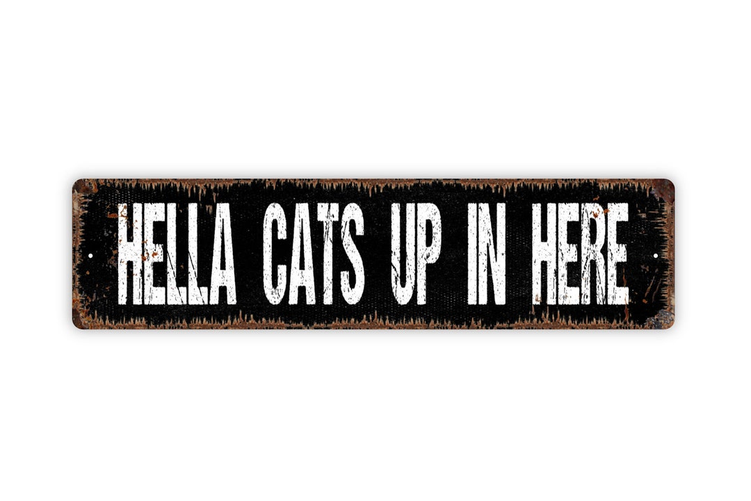 Hella Cats up in Here Sign Funny Cat Lover Kitten Feline Pet - Etsy