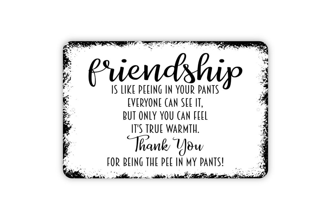 Friendship is Like Peeing in Your Pants Sign - Funny Best Friends Metal ...