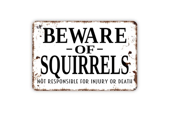Beware of Squirrels Sign Funny Metal Sign Farmhouse - Etsy