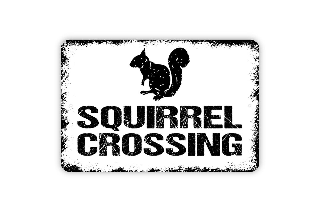 Squirrel Crossing Sign - Wildlife Backyard Patio Indoor or Outdoor ...