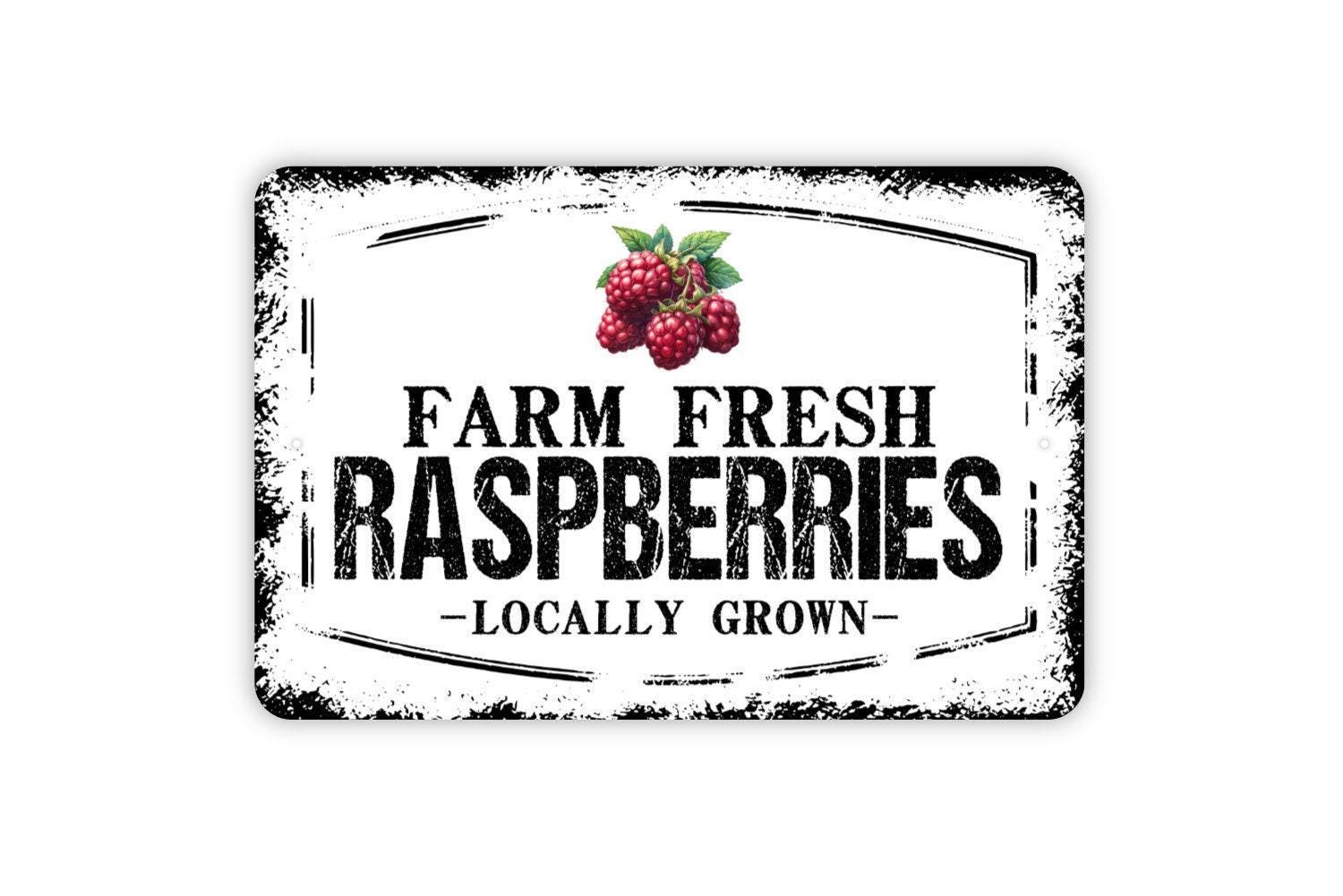 Farm Fresh Raspberries Locally Grown Sign - Raspberry Fruit Metal Sign ...