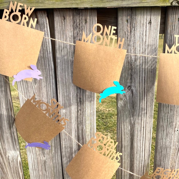 Monthly Photo Banner - Etsy