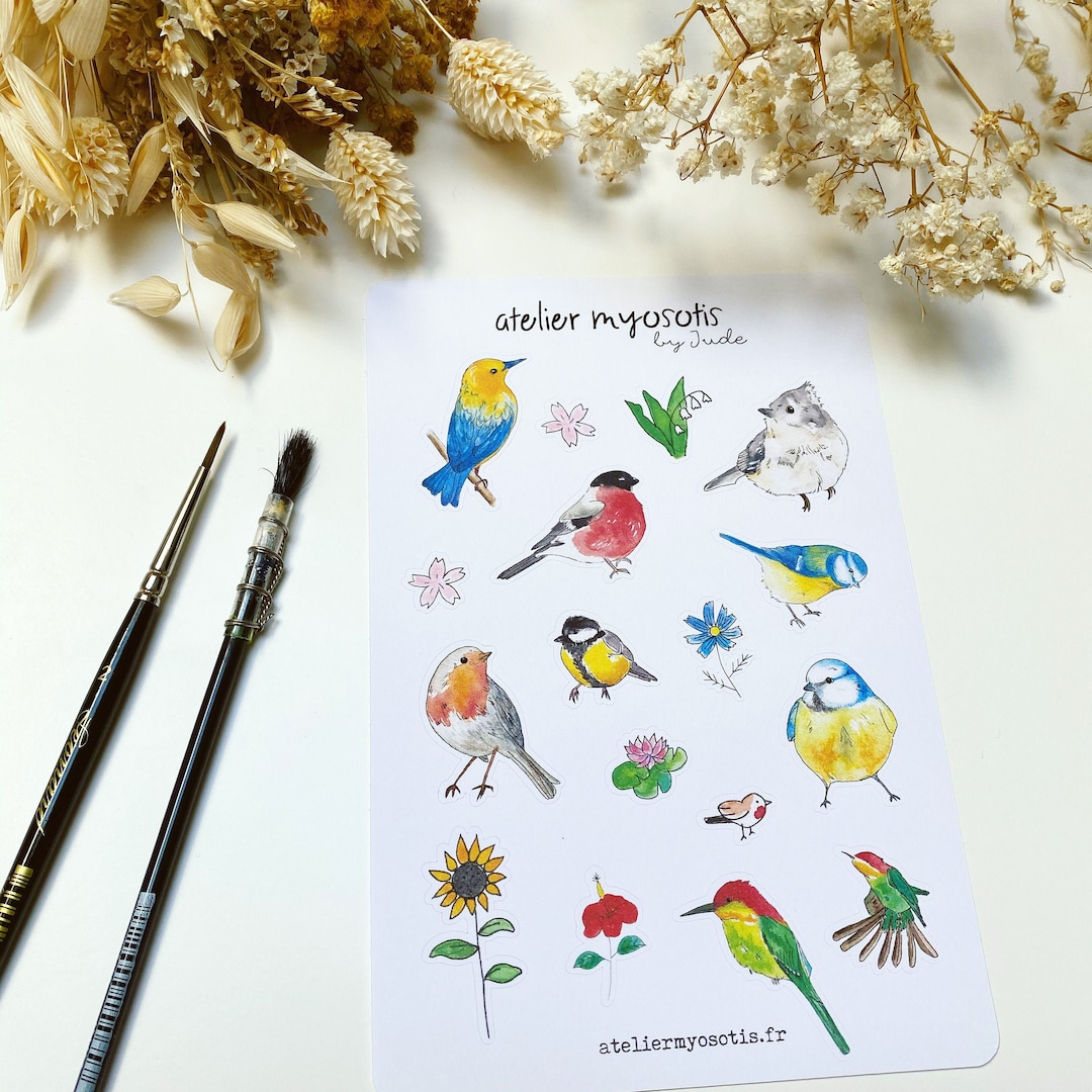 Planche de stickers autocollants oiseaux printemps jardin d'après ...