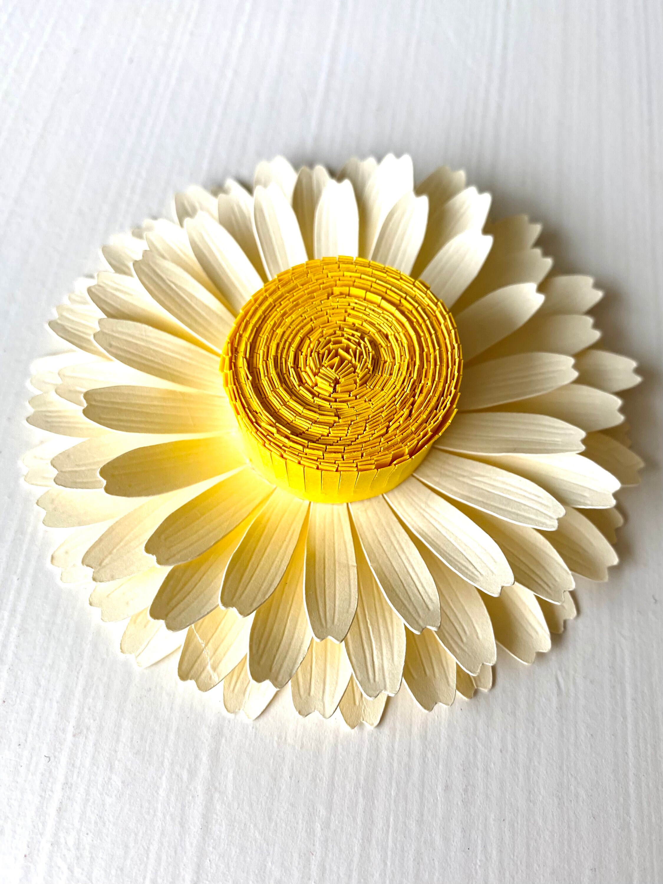 SVG, PNG, Digital File, Paper Daisy Template, Spring Decor, Floral ...