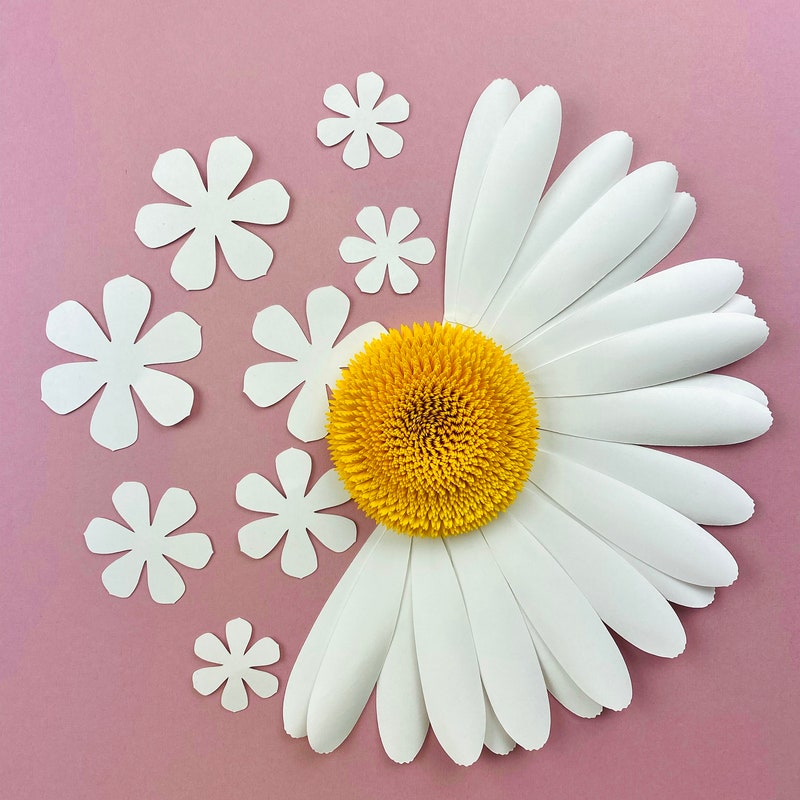 Paper Daisy - Etsy