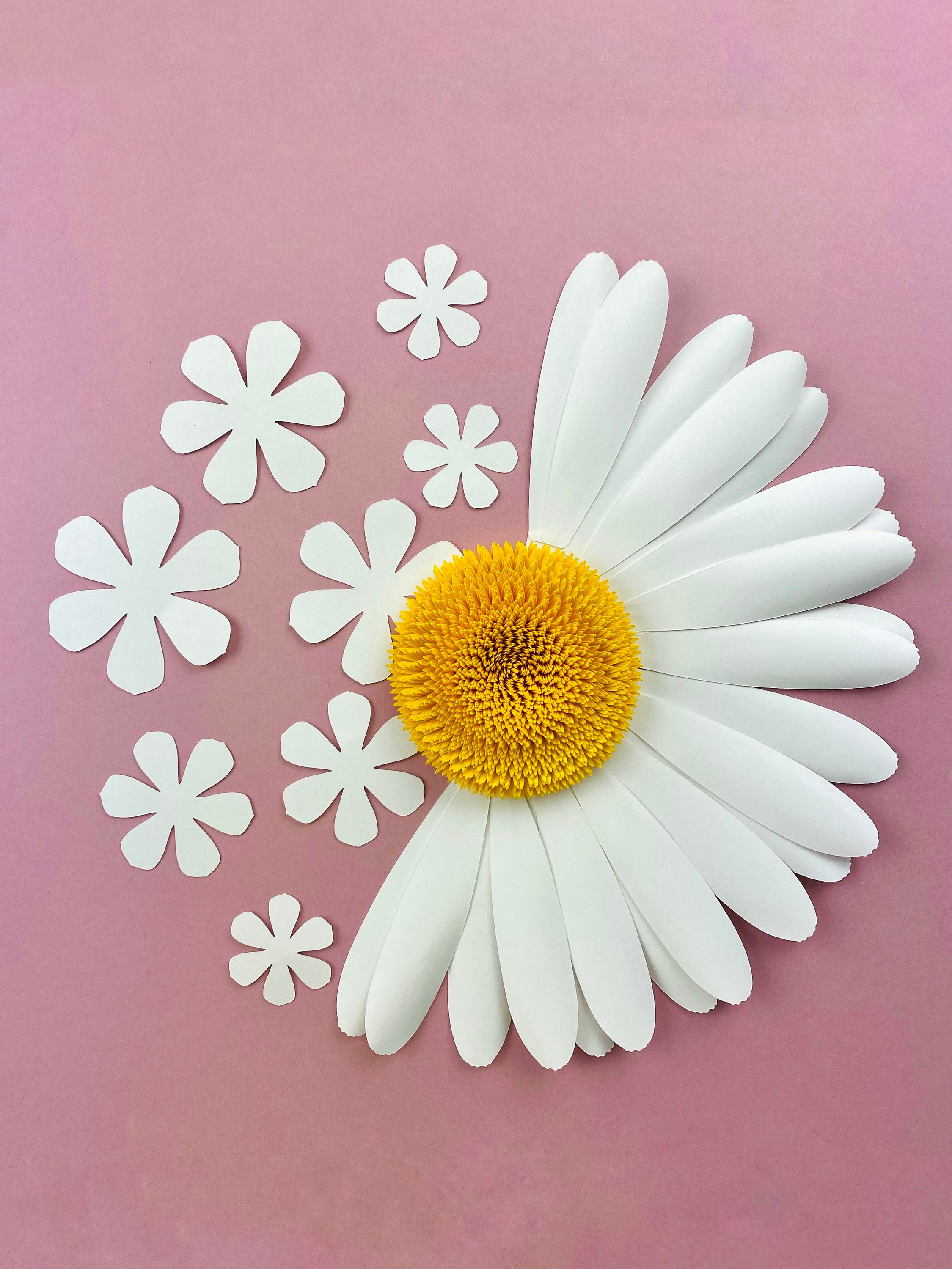 SVG Digital File Paper Daisy Cricut Flower Template DIY - Etsy Australia