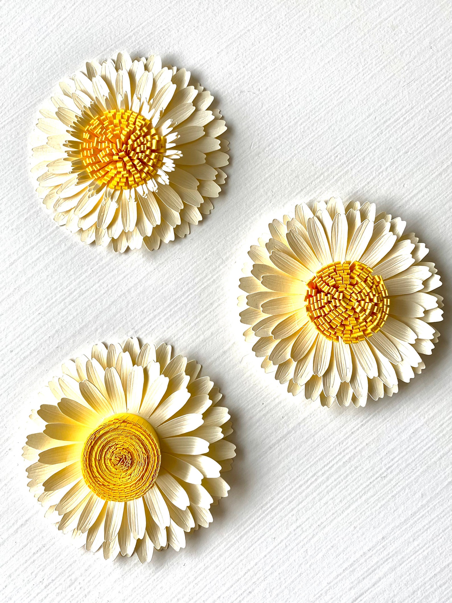 SVG, PNG, Digital File, Paper Daisy Template, Spring Decor, Floral ...