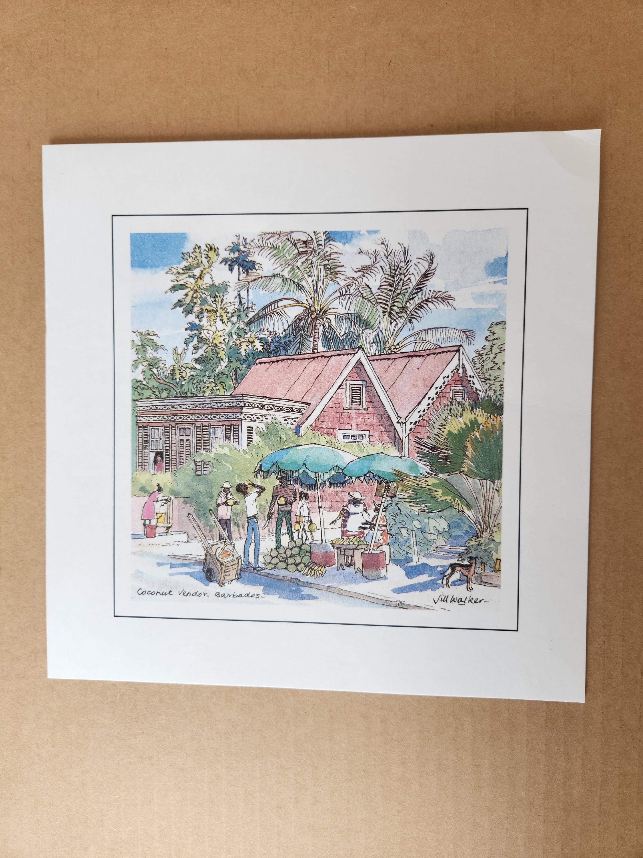 Jill Walker Coconut Vendor in Barbados Art Print - Etsy