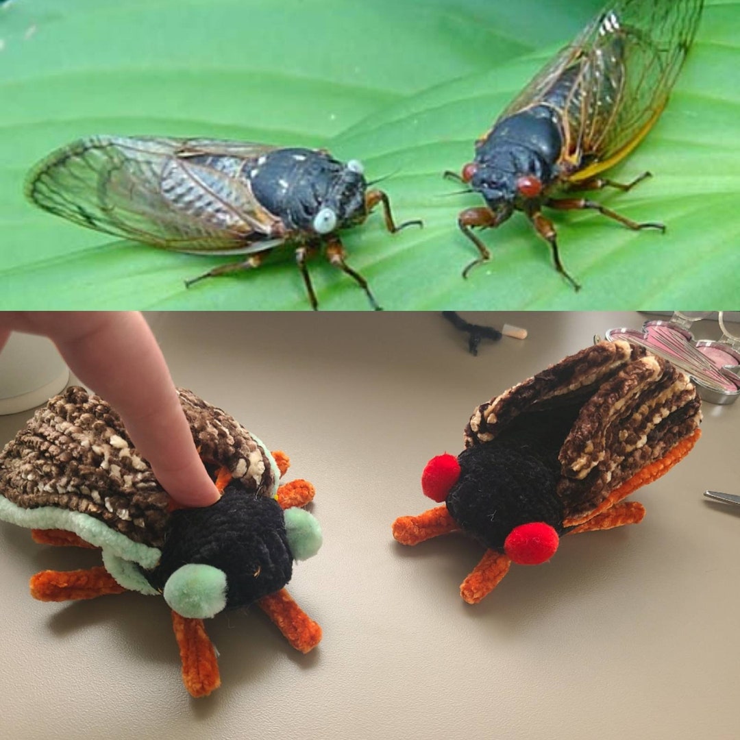 Cicada 1/million Green Eye Plushie - Etsy