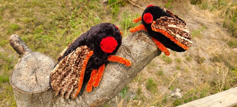 Brood X Straggler Cicada Plush orange Leg | Etsy