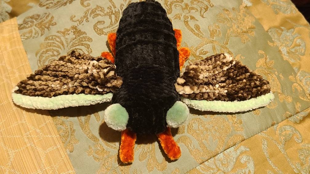 Brood X 1/million Cicada Plush 2022 Straggler | Etsy