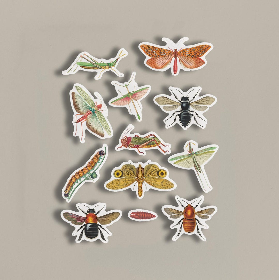 Planner Sticker Pack | Insect Stickers | Vintage Ephemera | Vintage ...