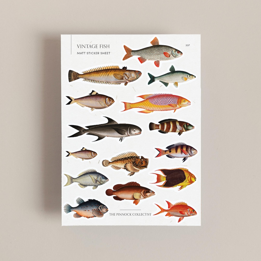 Sticker Sheet | Fishes | Vintage Fish Sticker Sheet | Academia ...