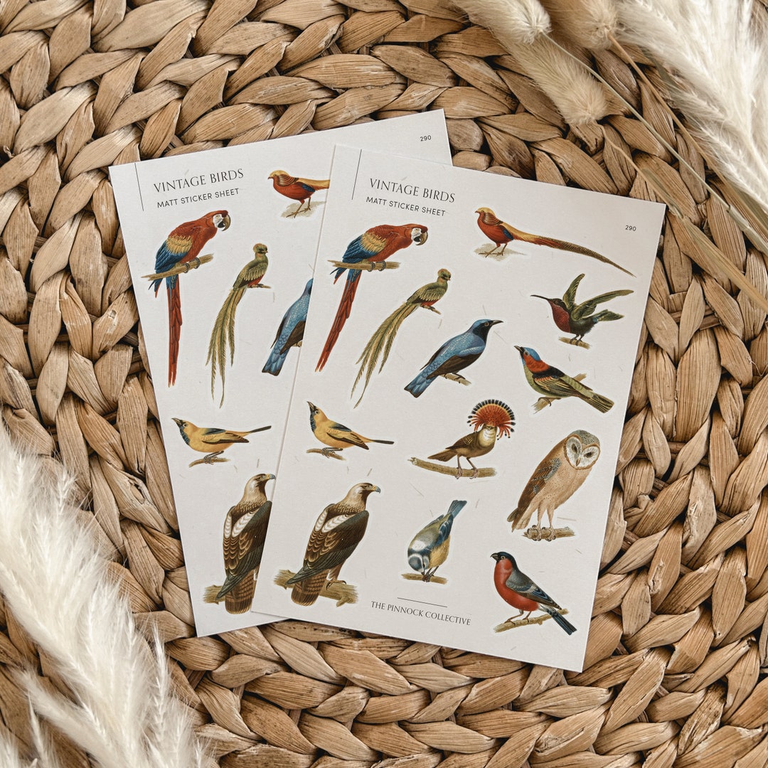 Vintage Birds Sticker Sheet Vintage Art Bird Lover Gifts Bird Watching ...