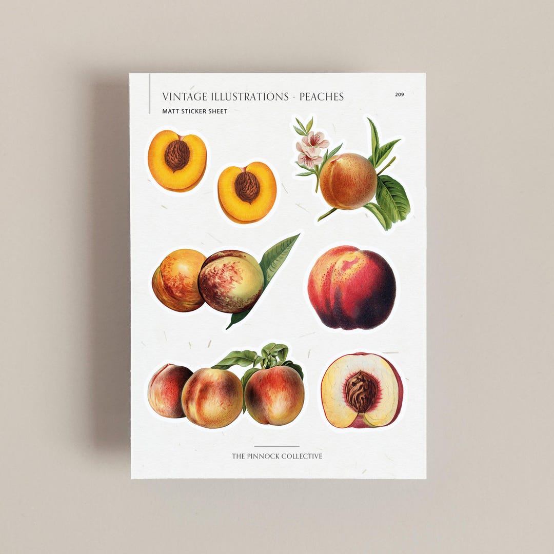 Vintage Peach Illustrations Sticker Sheet, Fruit Themed Stickers ...