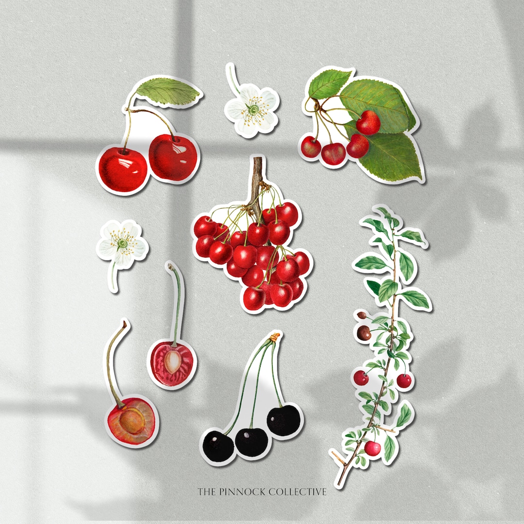 Vintage Cherries Illustrations Sticker Pack, Fruit Themed Stickers ...