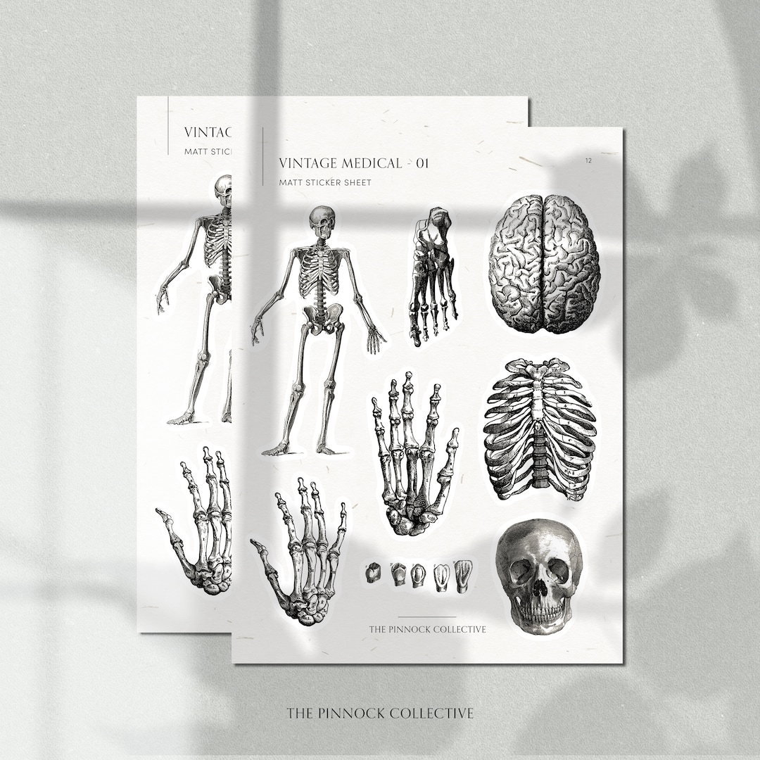 Vintage Medical Illustration Sticker Sheet, Perfect for Journaling, and ...