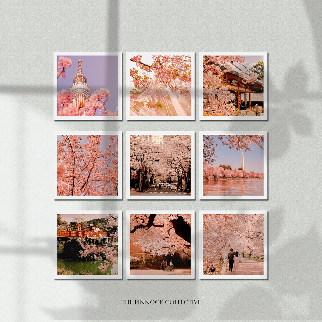 Sticker Pack Sakura Season Sakura Stickers Cherry Blossom Stickers ...