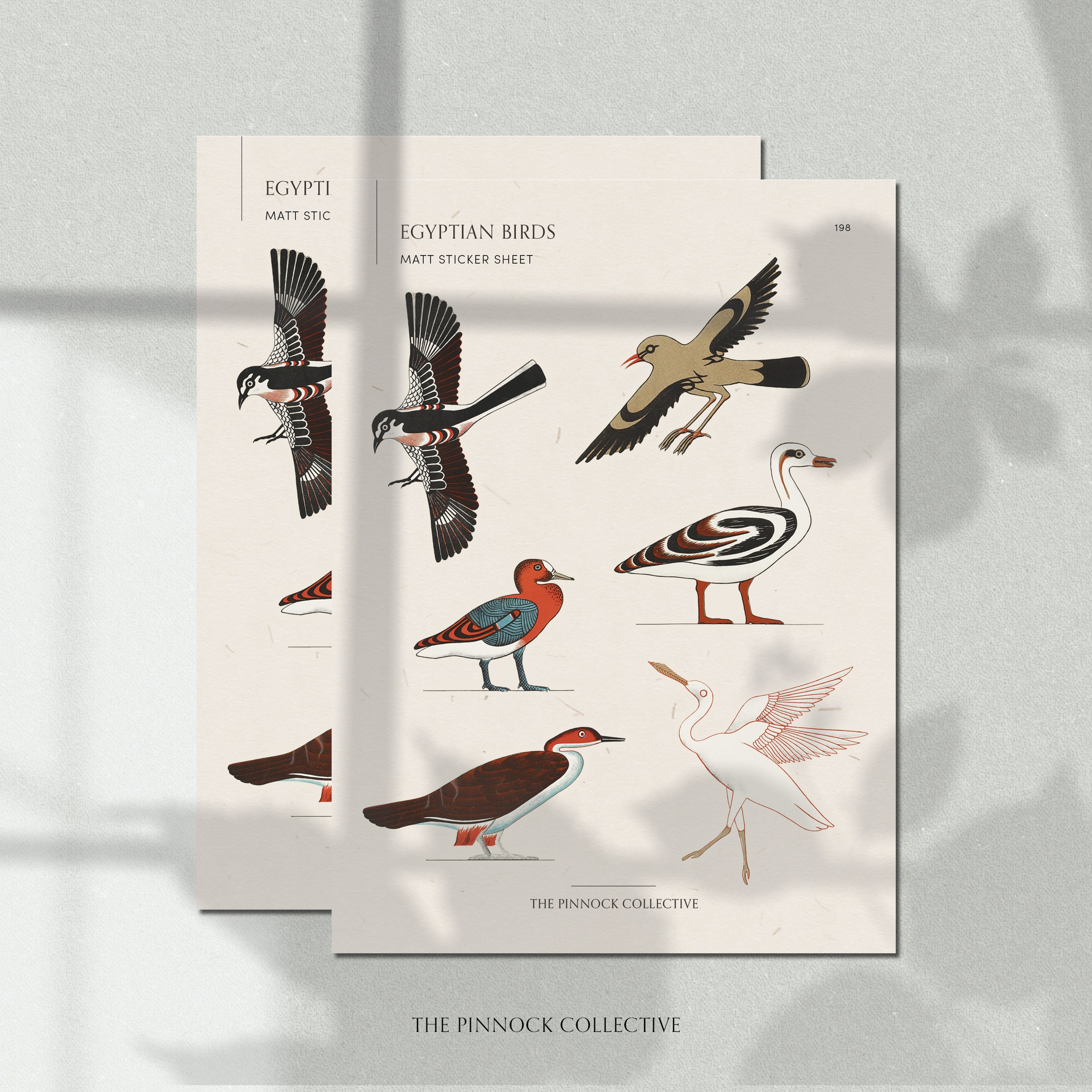 Egyptian Bird Hieroglyphics