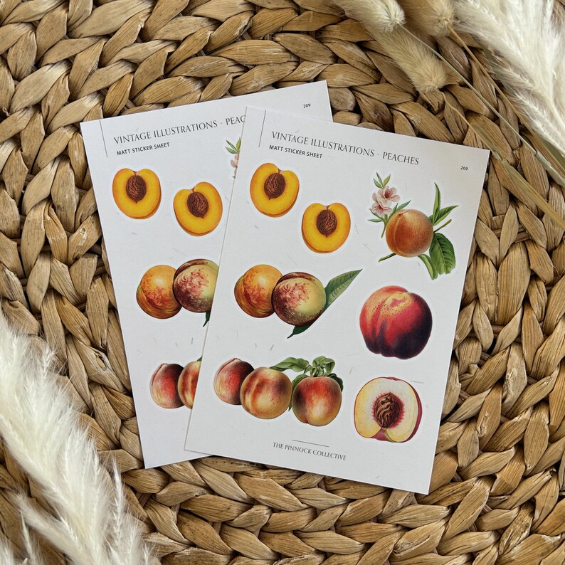 Vintage Peach Illustrations Sticker Sheet, Fruit Themed Stickers ...