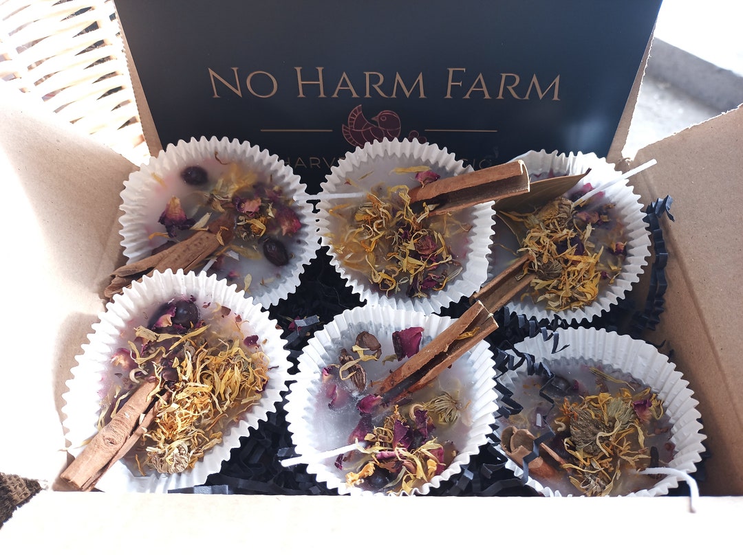 Eco Fire Lighters, Natural Spiced Orange and Rose Scented Firelighters ...