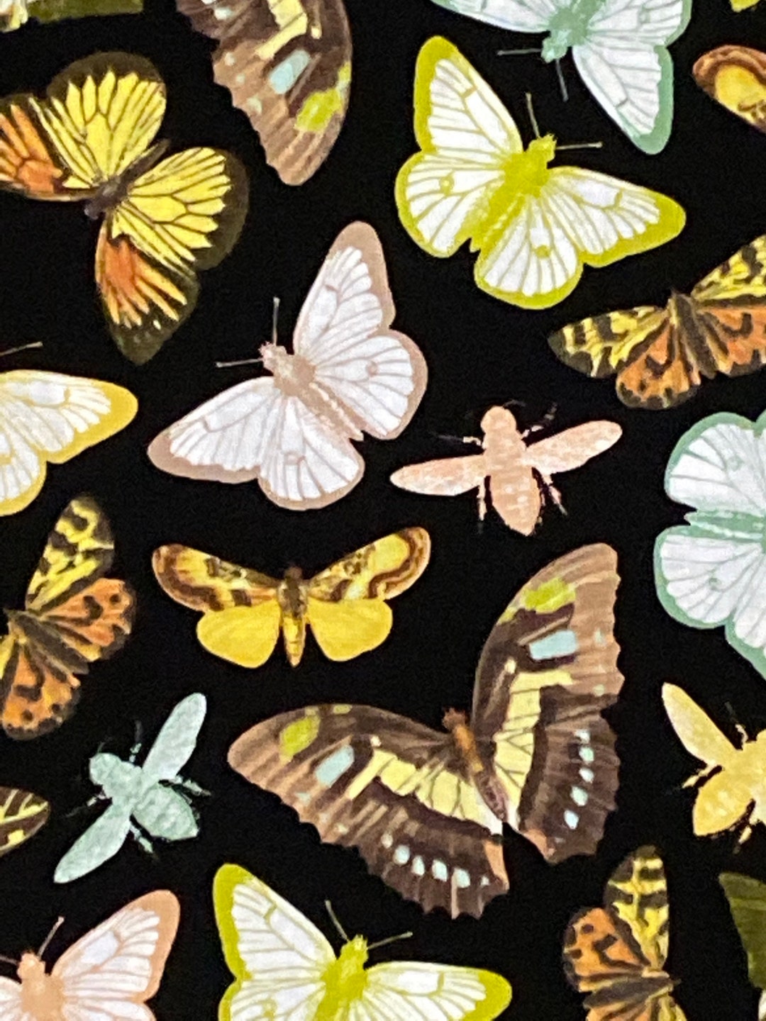Butterfly Print Cotton Fabric by the Yard: Michael Miller Anjou ...