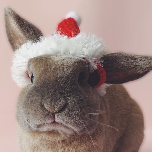 Rabbit Santa Clothes Pet Santa Hat Rabbit Santa Outfit Pet - Etsy Canada
