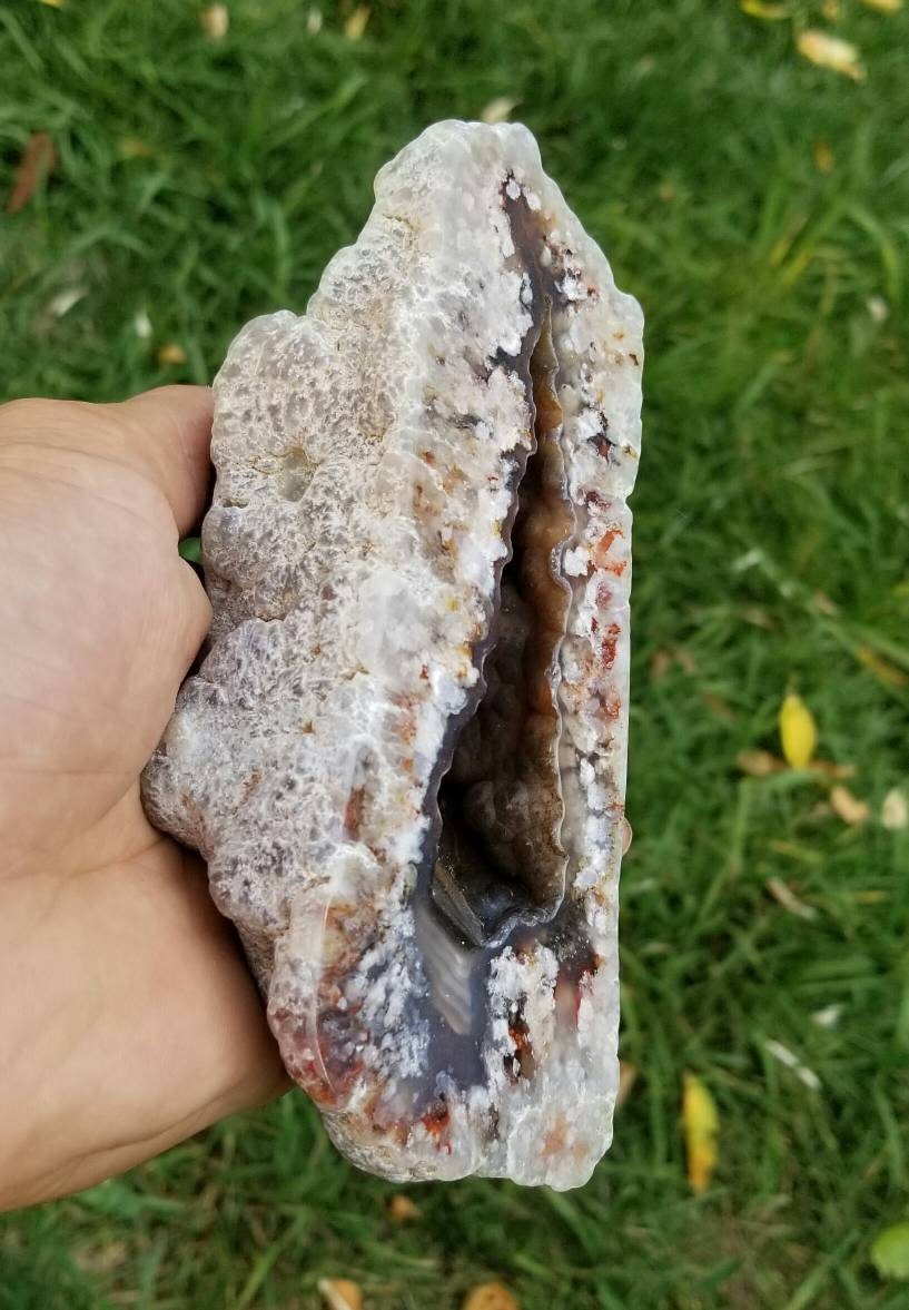 Huge Fortification Plume Agate Botryoidal Watermark Stone - Etsy