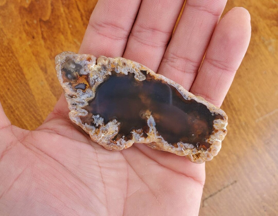 Rare USA Plume Agate Glassy (mirror Polished Specimen) Montana - Etsy