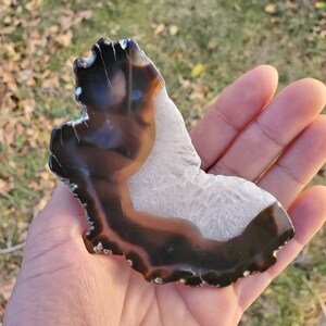 Black Fortification Agate Limb Cast With Quartz Crystal Polished Stone ...