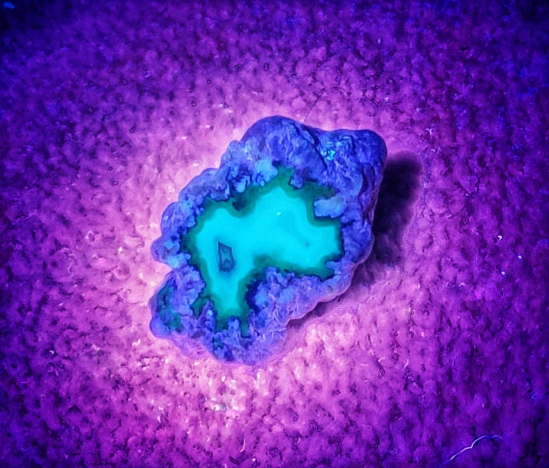 Small Baby Blue Agate UV Reactive (galaxy Agate) Tumbled Rare Montana ...