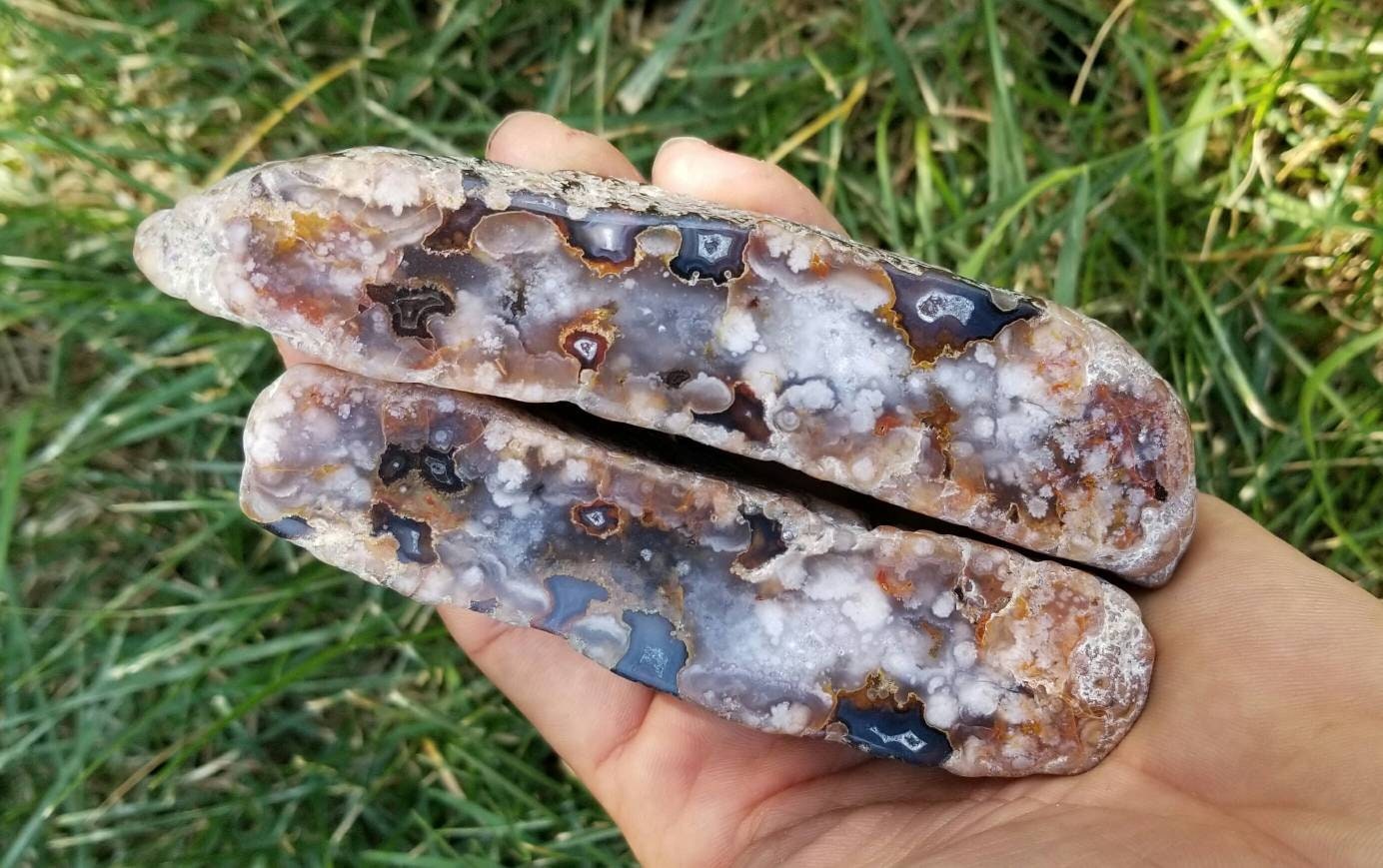 INSANE Fortification Plume Agate Polished Stone montana Rare | Etsy