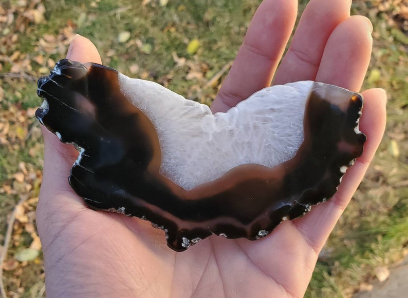 Black Fortification Agate Limb Cast With Quartz Crystal Polished Stone ...