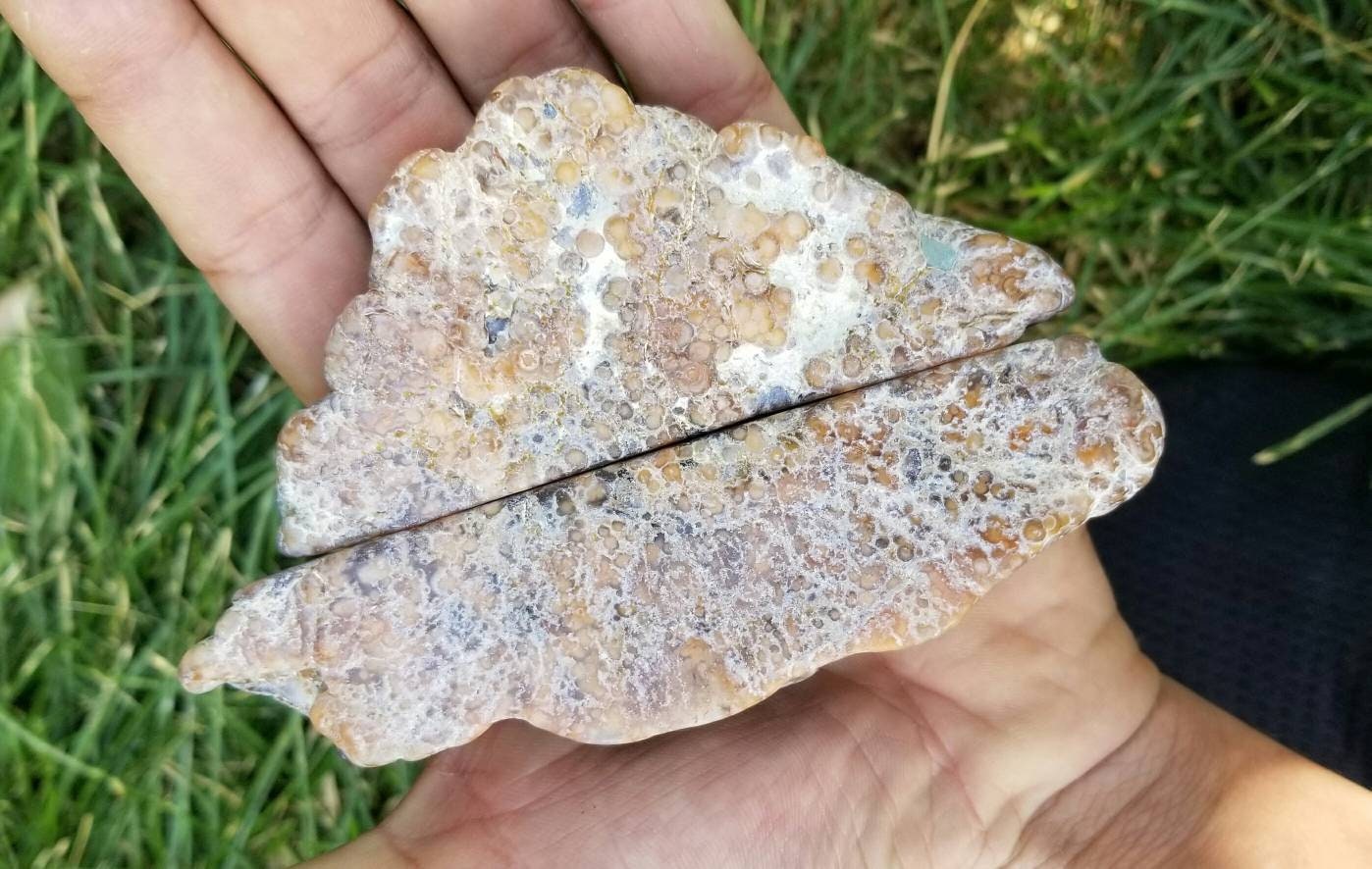 INSANE Fortification Plume Agate Polished Stone montana Rare | Etsy