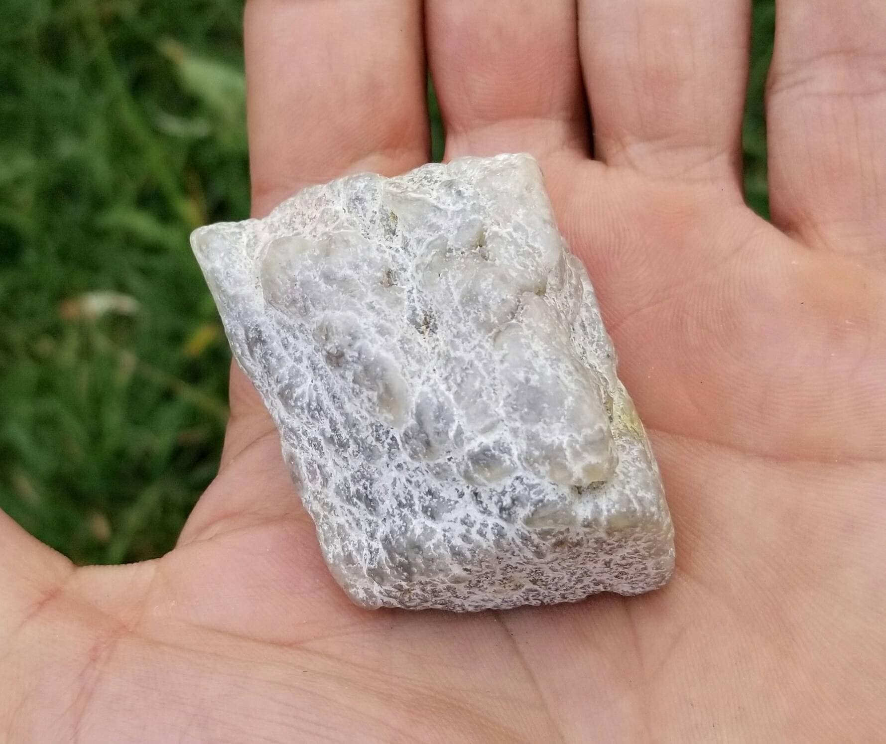 Clear Botryoidal Agate Geode Polished Natural Plume Montana | Etsy