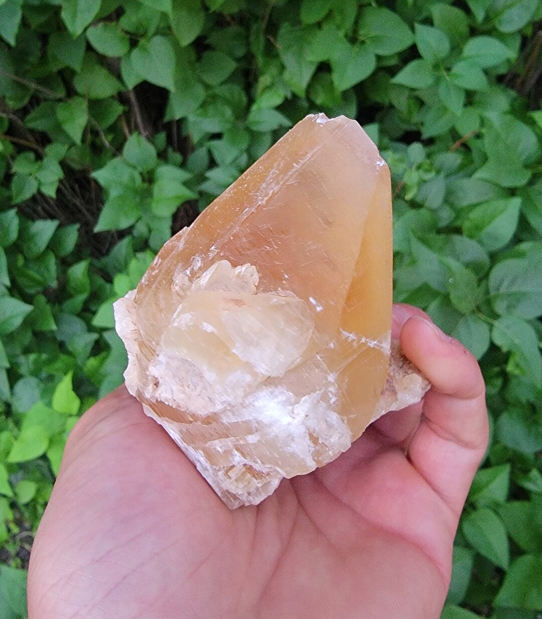 Goliath Golden Stellarbeam Calcite Crystal (natural Montana Calcite) 12 ...