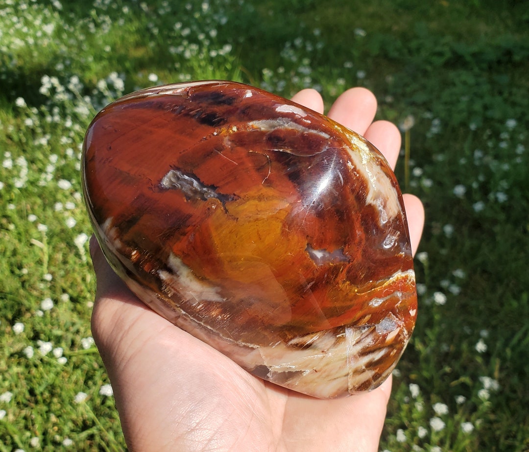 Giant 36oz A+ Red Jasperized Wood Rare Glossy Tumbled Petrified Wood ...