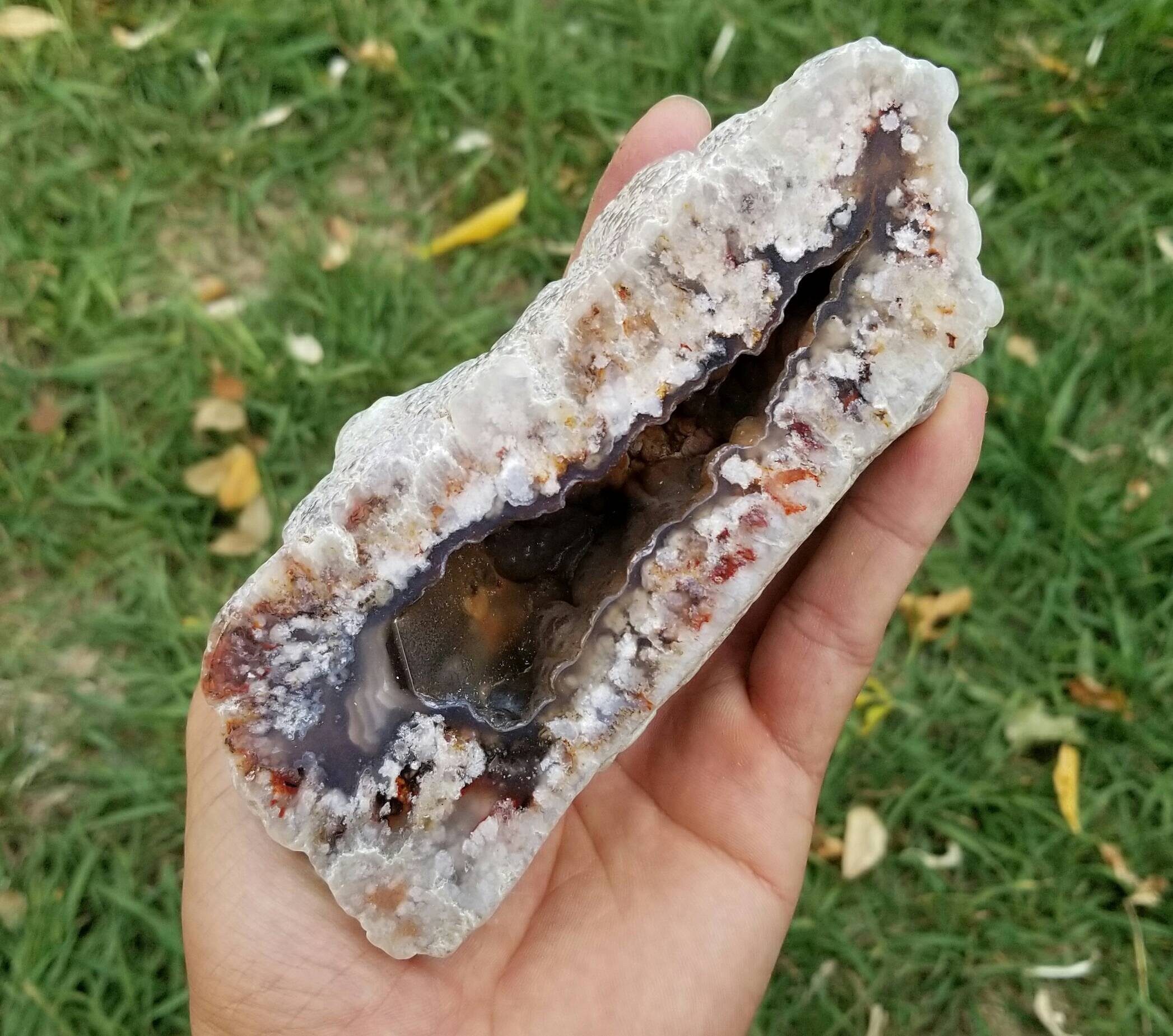 Huge Fortification Plume Agate Botryoidal Watermark Stone - Etsy