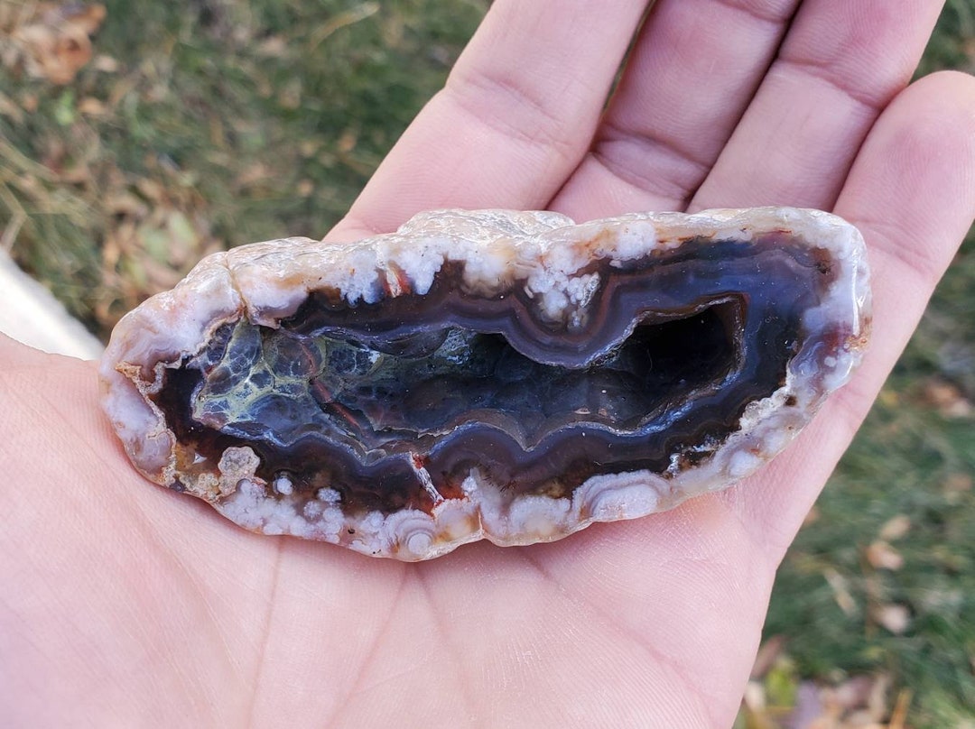 Shiny Red and Blue Fortification Agate With Botryoidal Core (montana ...