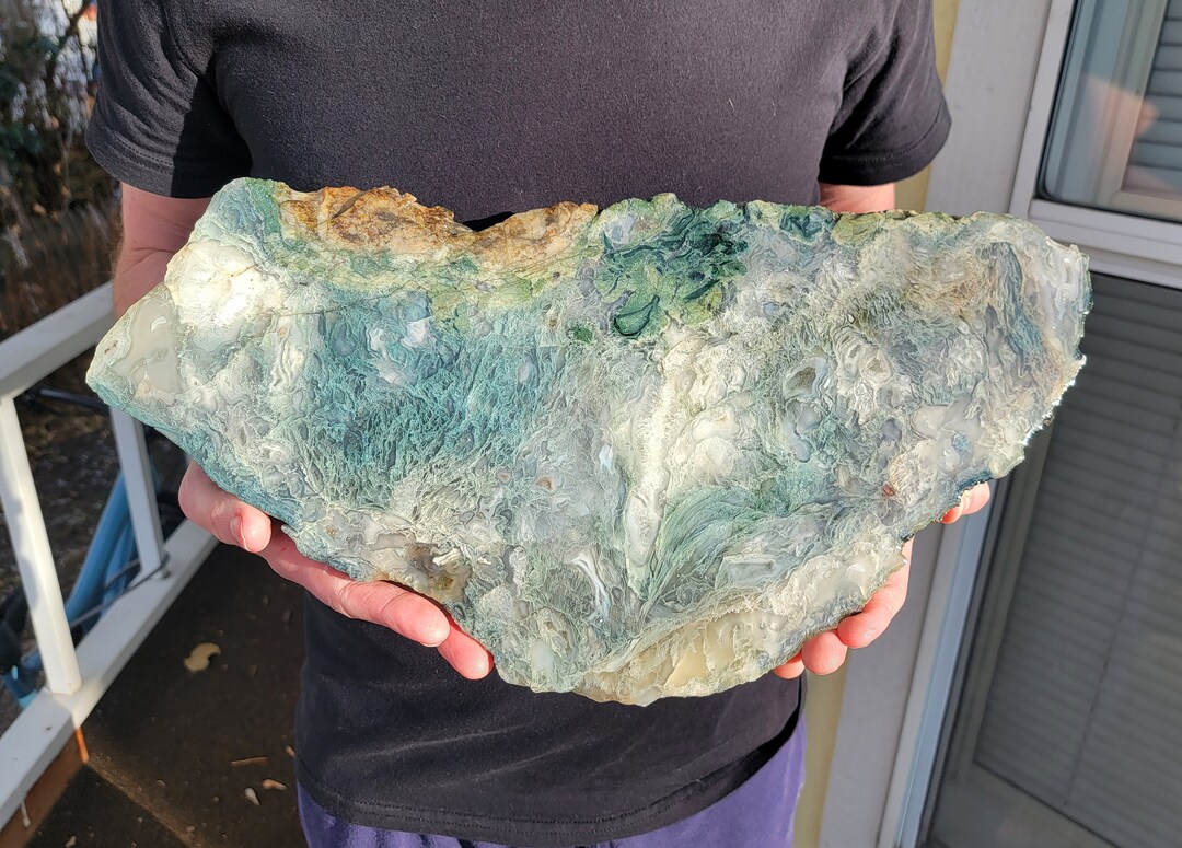 GIANT Green Agate Limb Cast Petrified Wood Specimen montana - Etsy