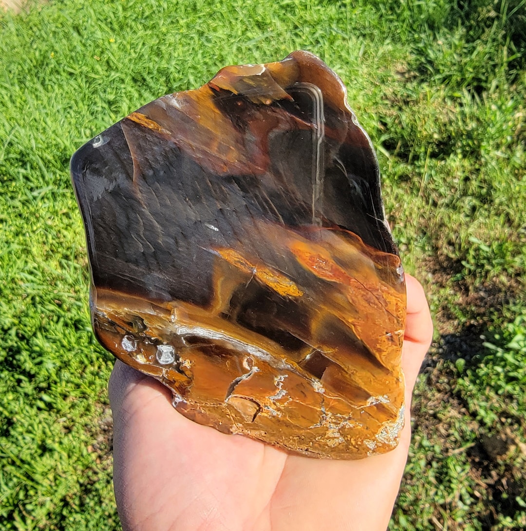 Giant A+ Agatized Wood Tumbled Petrified Wood Extreme Grain ...