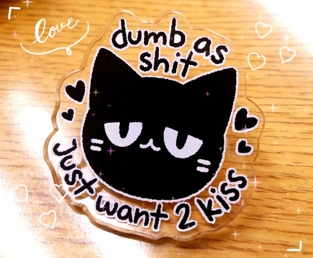 Dumb as Sh!t Cat Clear Acrylic Pin - Etsy