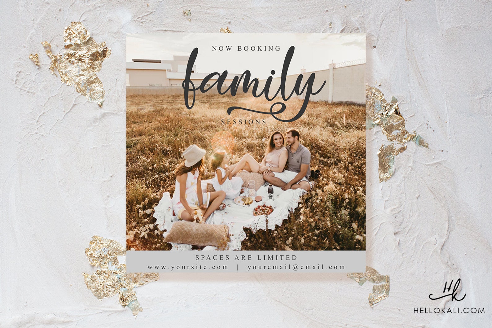 Family Session Mini Marketing Board, Mini Session Advertisement ...